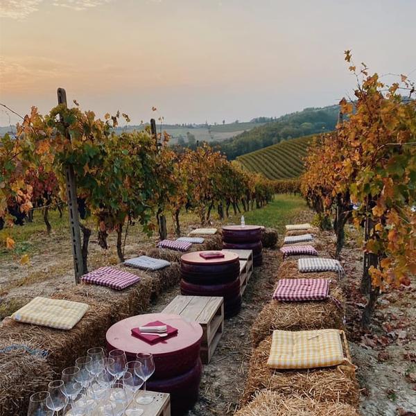 Aperitivo in vigna nel Monferrato sulle colline di Cella Monte - Holidoit